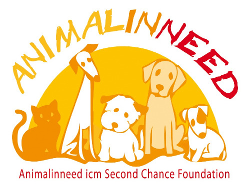 Animal in Need / Stichting SCFN | Organisaties - Adopteer.be